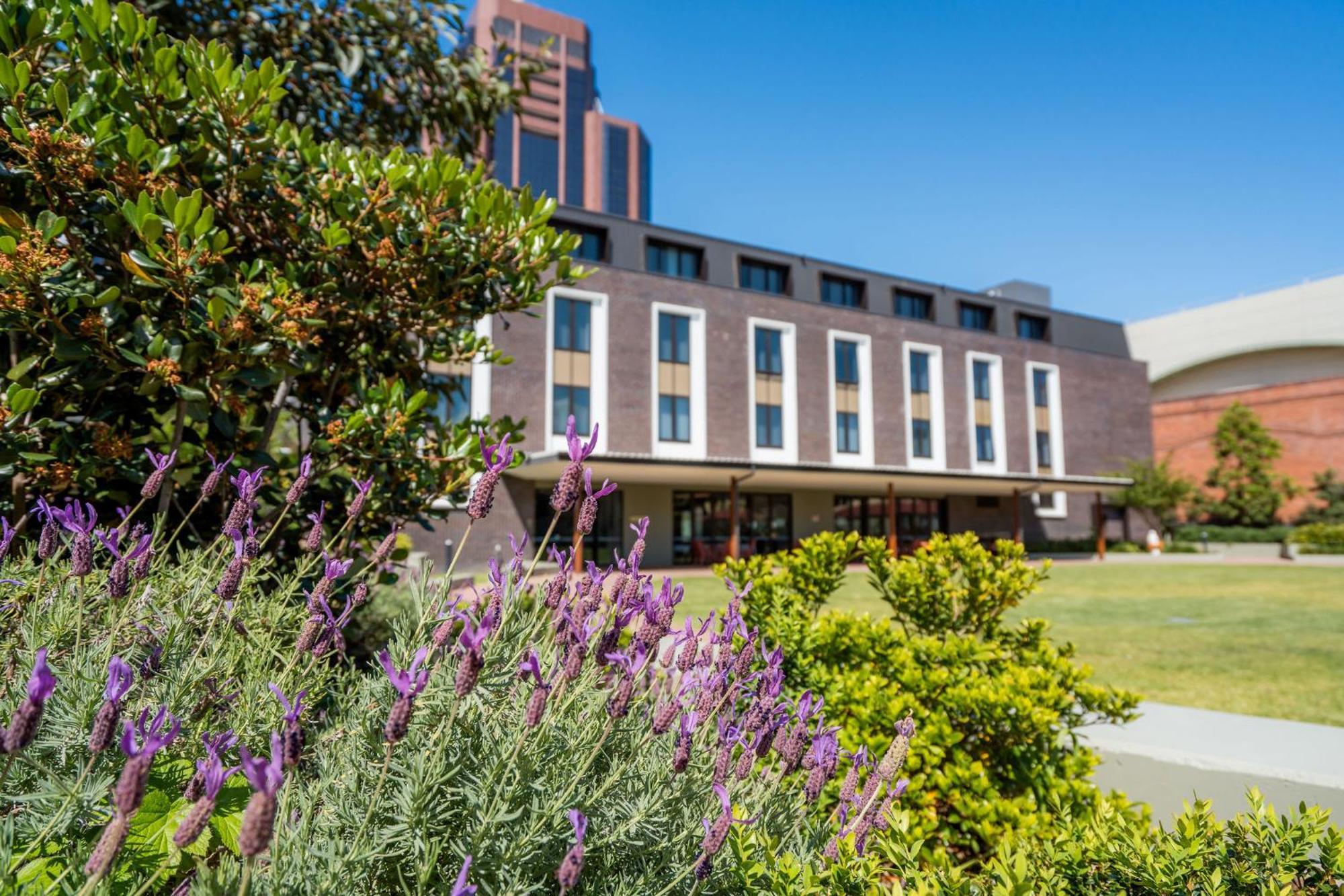 HOTEL MARY MACKILLOP PLACE | ⋆⋆⋆ | SYDNEY, AUSTRALIA | SEASON DEALS ...